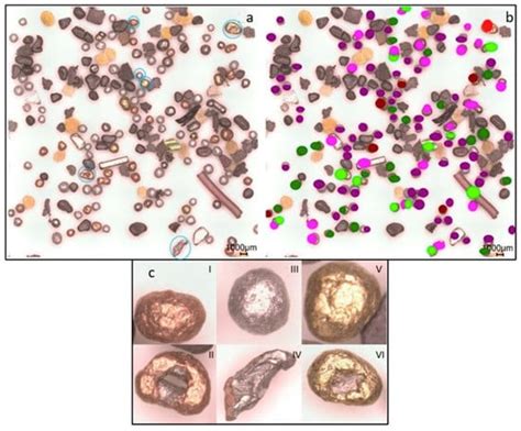 Electronics Special Issue Imaging Based Material Characterization