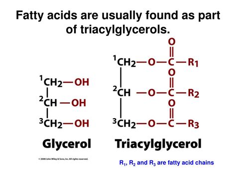 PPT Lecture Notes For Chapter 8 Lipids And Membranes PowerPoint