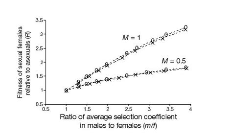 Sexual Selection And The Maintenance Of Sexual Reproduction Nature