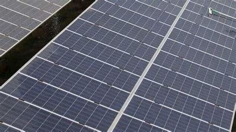 Cppib Is Majority Owner Of Renew Company Business News