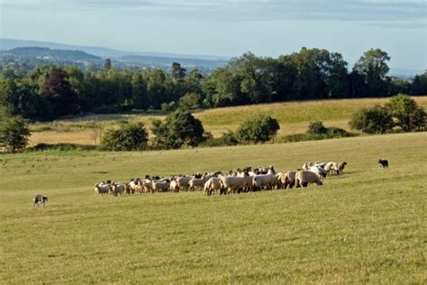 Arredondamento Para Cima Fotos Baixe Imagens Gratuitas Na Unsplash