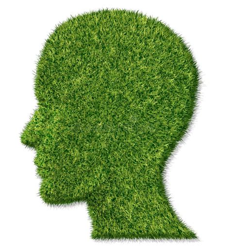 Brain Health And Memory Function Stock Illustration Illustration Of Dealing Grass 24326756