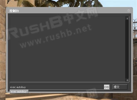 Csgo一键购买武器代码生成器使用教程 Csgo Rushb中文网