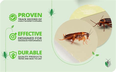 Roach Trap 12 Pack Sticky Indoor Glue Traps For Roaches And Other