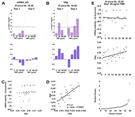 The Selection On N Sicca Lib 16 30 Is Driven By Codon Optimality