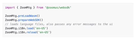 Error With Vitejs Debounce Is Not A Function Meeting Sdk Zoom