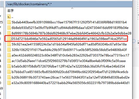 Dokcer 常见问题总结 葱爆GIS刘博方GIS博客