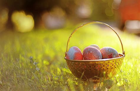 Easter Egss On The Morning Stock Image Image Of Holiday 38632425