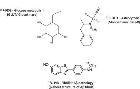 Multi ­ Tracer Approach Employed In This Work Download Scientific Diagram