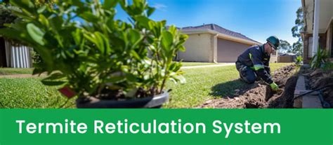Termite Reticulation System Installation And Refills Sydney
