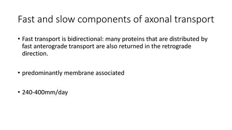 Axonal Transport Pptx