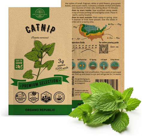 Catnip Seeds For Planting Common Variety 15g Packet