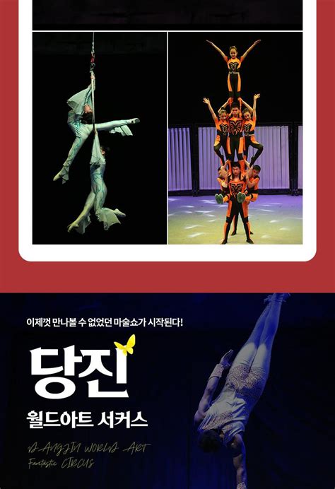 충남 당진 월드아트 서커스 최저가 액티비티 인기상품 Nol
