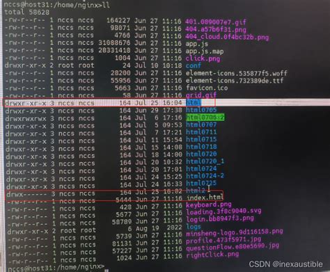 前端更新包报500错误，文件权限设置错误linux 访问前端 500 Csdn博客
