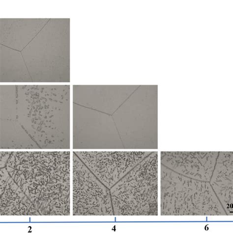 Micrographs Of The As Cast Specimen A Om Micrographs B Sem