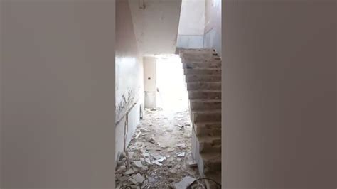 لعن الله الأسد من الجد إلى ولد الولد Shorts بالحب بدنا نعمرها Youtube