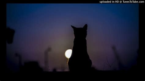 미아 박정현 Youtube