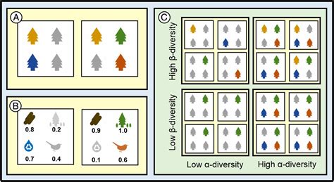 Biotic Homogenization Can Decrease Landscape Scale Forest