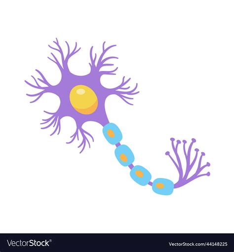 Neuron Model