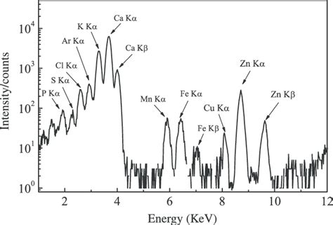 Typical Synchrotron Radiation X Ray Fluorescence Srxrf Microprobe