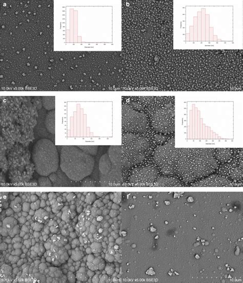 Sem Images And The Corresponding Nanoparticle Size Distribution