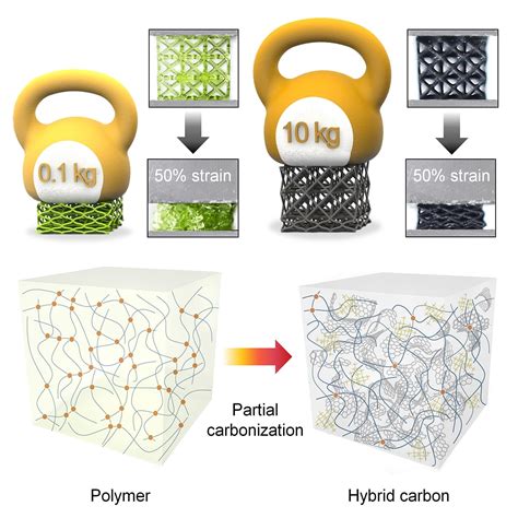 Scientists Develop Unique Method Of Making 3d Printed Polymer Lattices