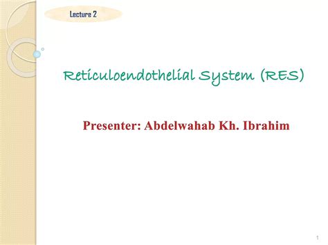 Reticuloendothelial System Pdf