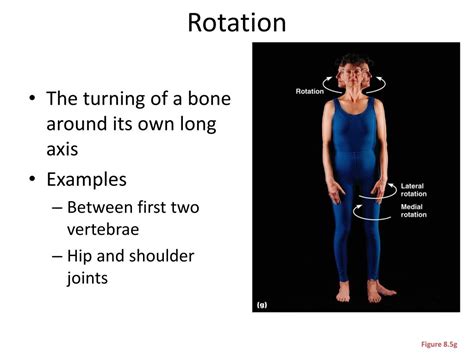 Ppt Synovial Joint Movements Powerpoint Presentation Free Download