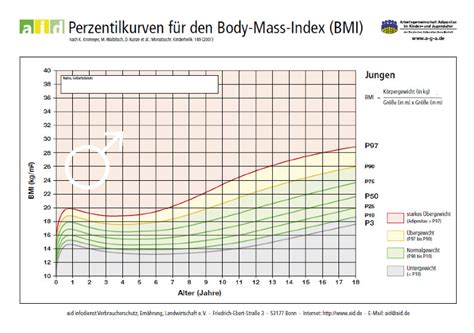 Bmi Rechner Jungen
