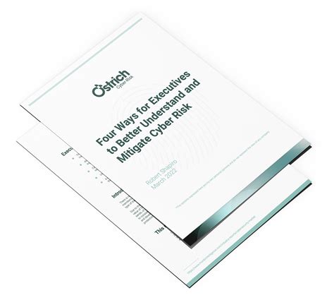 Ostrich Resources — Ostrich Cyber Risk