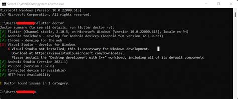 How To Make Your First Flutter App 2022 Nucleio Information Services