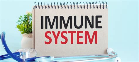 Active Vs Passive Immunity What You Need To Know