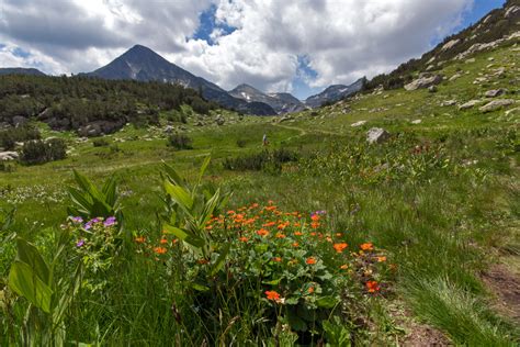 „Отечество любезно как хубаво си ти “ Иван Вазов