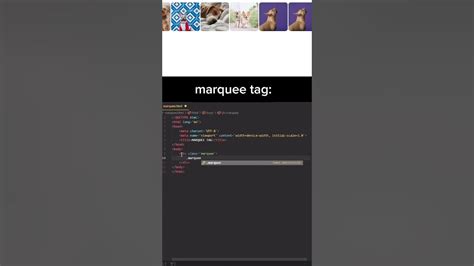 Marquee Tag Html Css Coding Shorts 🖇️ Coding Shorts