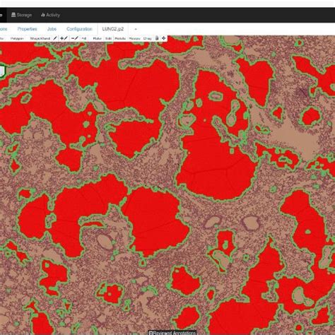 A Typical Session Using Imagej And Ndpitools Plugins An Ndpi File