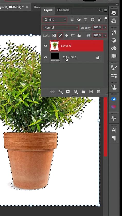Select Complicated Objects In Photoshop