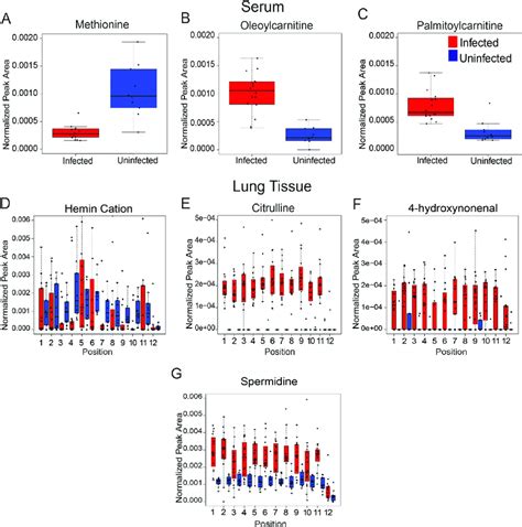 Representative Metabolites Perturbed By Iav Infection In Serum And Lung
