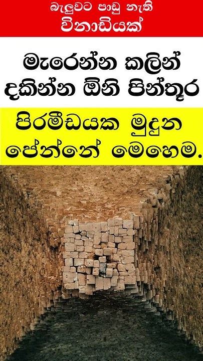මැරෙන්න කලින් දකින්නම් ඕනි පින්තූර කීපයක් තමා මේ Youtube