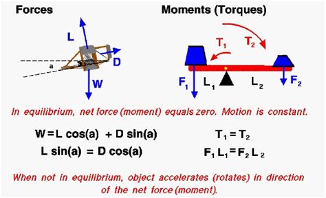 equilibrium vector calculator