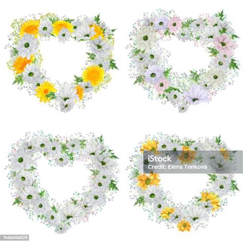 흰색과 노란색 국화와 색칠 된 석고 식물이있는 손으로 그린 하트 모양의 수채화 화환 세트 0명에 대한 스톡 벡터 아트 및 기타 이미지 0명 갈란드 장식품 공휴일