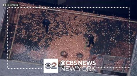 Man Jumps Into World Trade Center Memorial Reflecting Pool Cbs New York