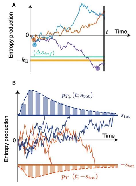 Entropy As A Stochastic Variable Illustration Of The Mean Infimum Download Scientific Diagram