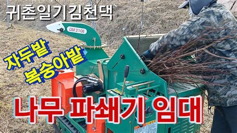 귀촌일기55과일나무 가지치기와 나무 파쇄기 Youtube