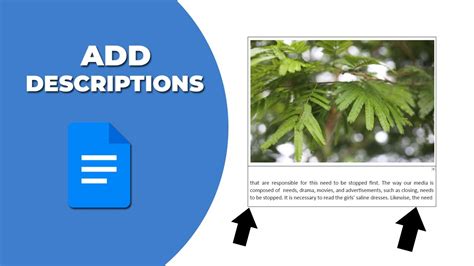 How To Add Descriptions To Pictures In Google Docs YouTube