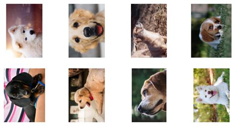 Numba Function Running A Compiled C Callback Function — Nvidia Dali