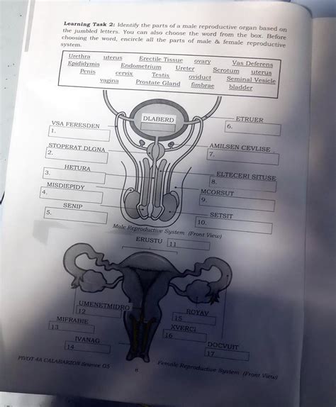 Pa Help Po Kailangan Ko Na Po Kasi E Lenrning Task 2 Identify The Parts