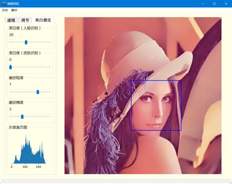 GitHub PerpetualSmile BeautyCamera 美颜相机具有人脸检测磨皮美白人脸滤镜调节图片摄像功能