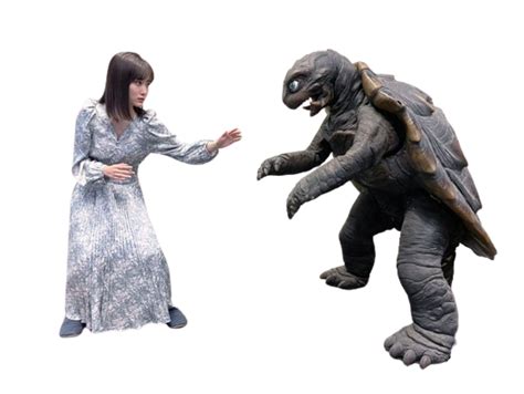 Zukki Vs Gamera The Great Devil Turtle