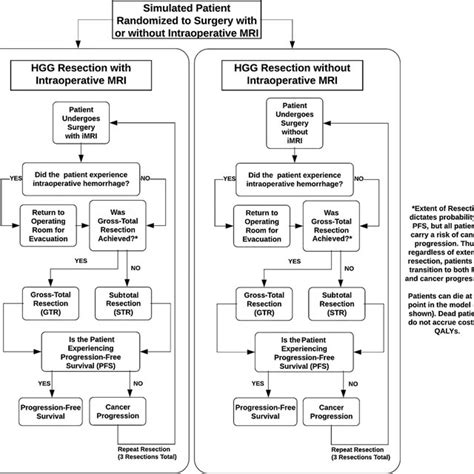 Microsimulation Model Flowchart Simulated Patients Were Initially Download Scientific Diagram