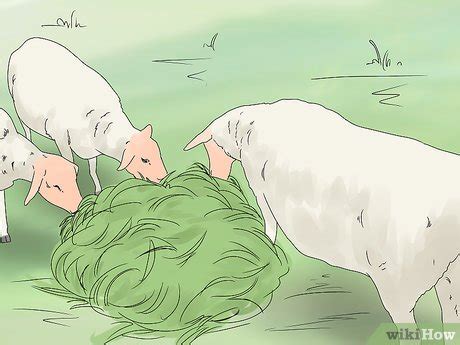 How To Breed Sheep Steps With Pictures WikiHow